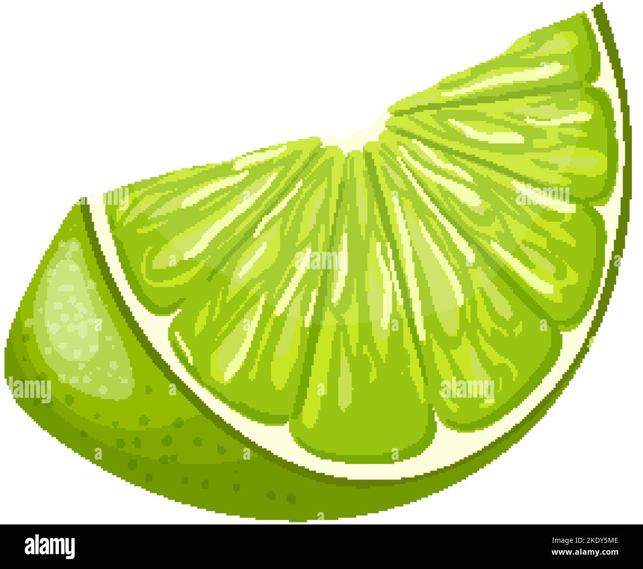lime piece cartoon vector illustration Stock Vector Image & Art - Alamy