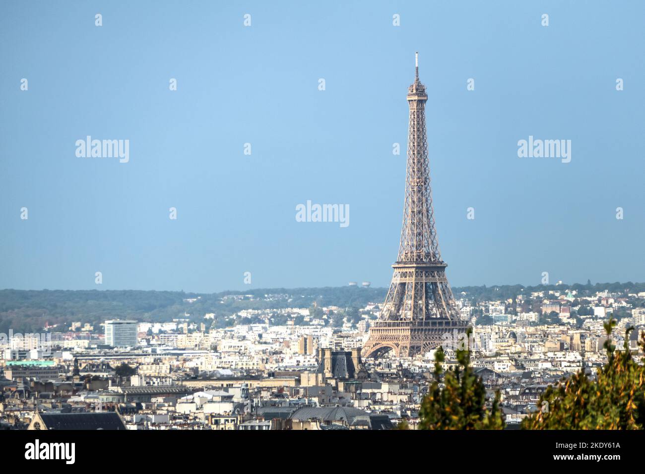 Aerial view of the Eiffel Tower Stock Photo - Alamy