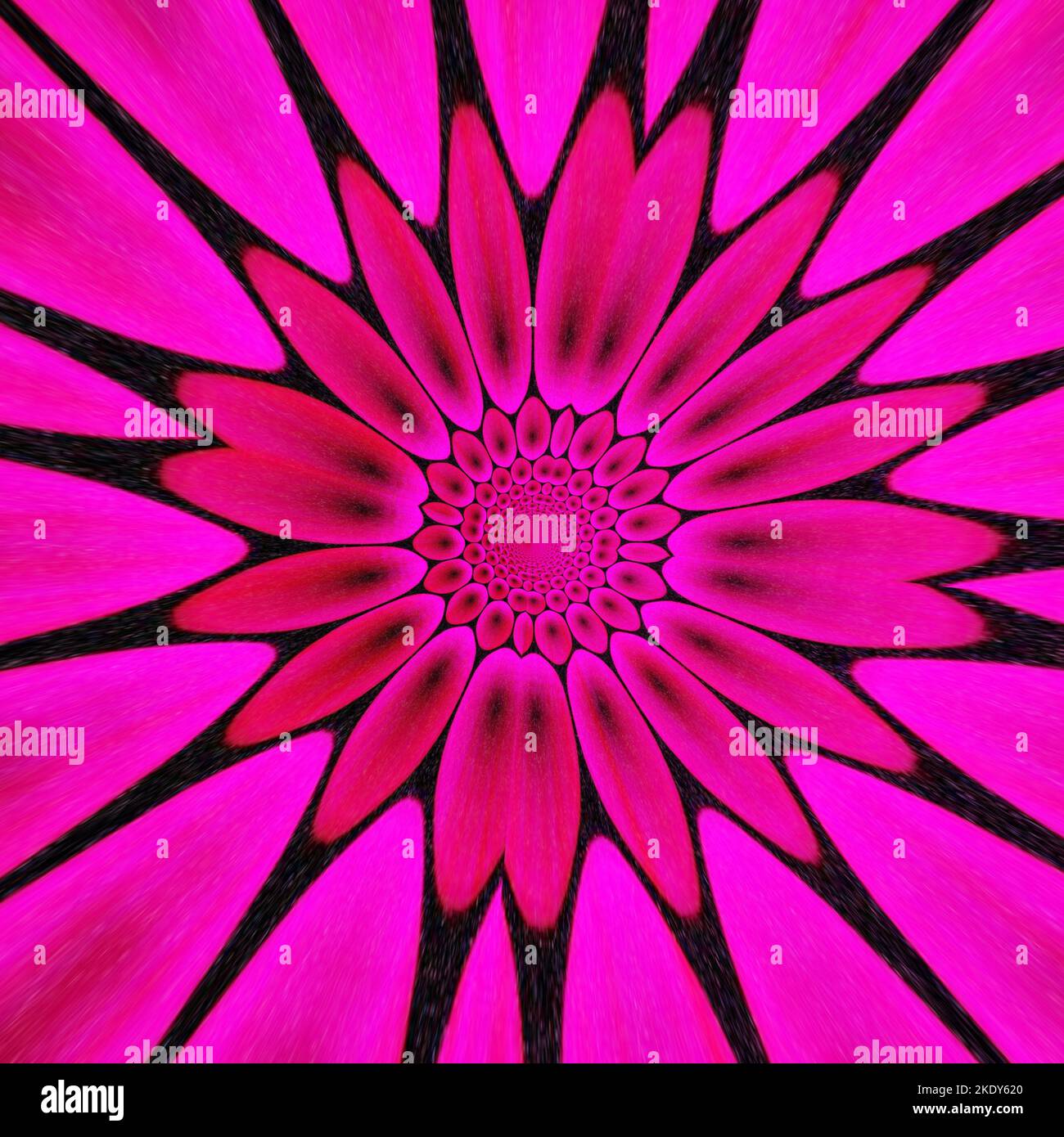 An abstract pink hypnotic circles background for textures and overlays ...