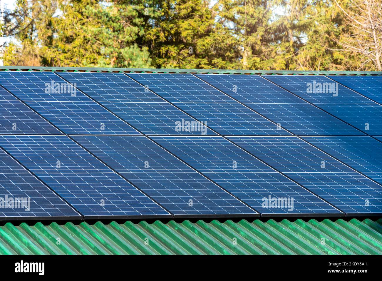 Solar panels mounted on a green roof. Clean energy Stock Photo - Alamy
