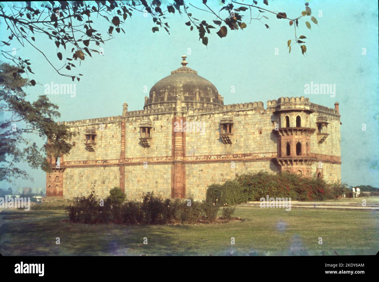 Surid hi-res stock photography and images - Alamy