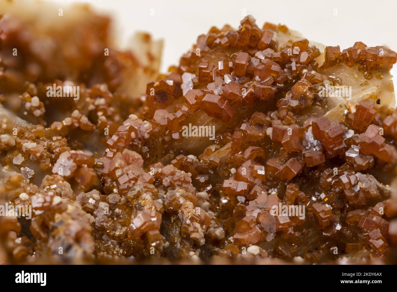 close up of red orange tabular crystals of vanadinite. Lead mineral ...