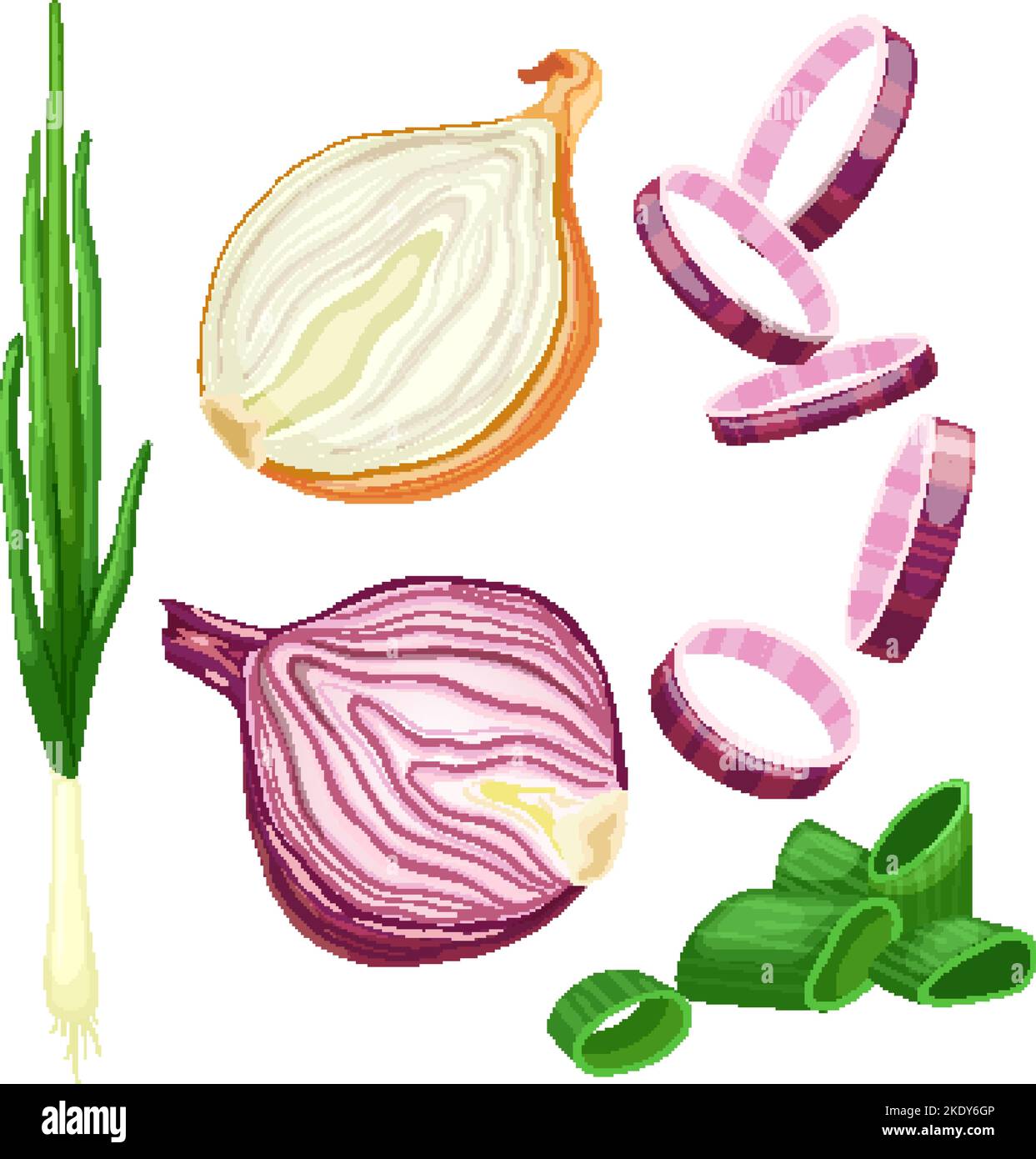 onion white red set cartoon vector illustration Stock Vector Image ...