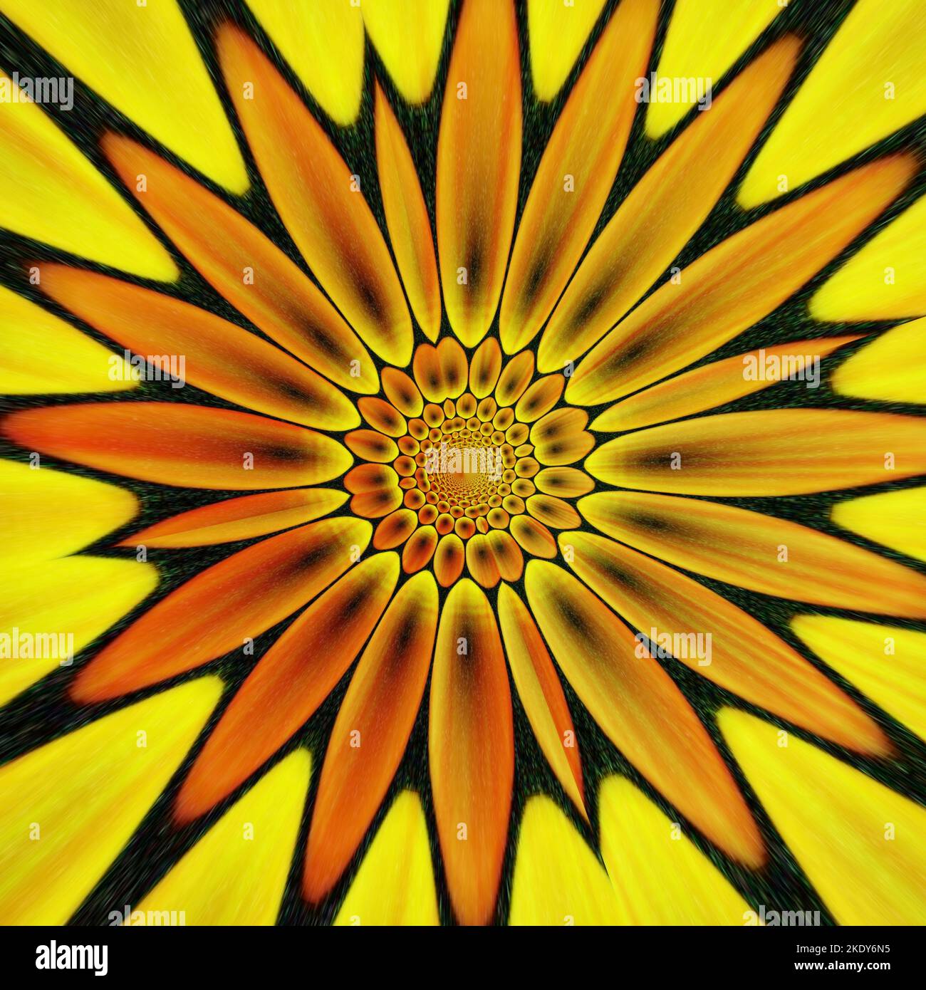 Trippy Sunflower Cover Photo