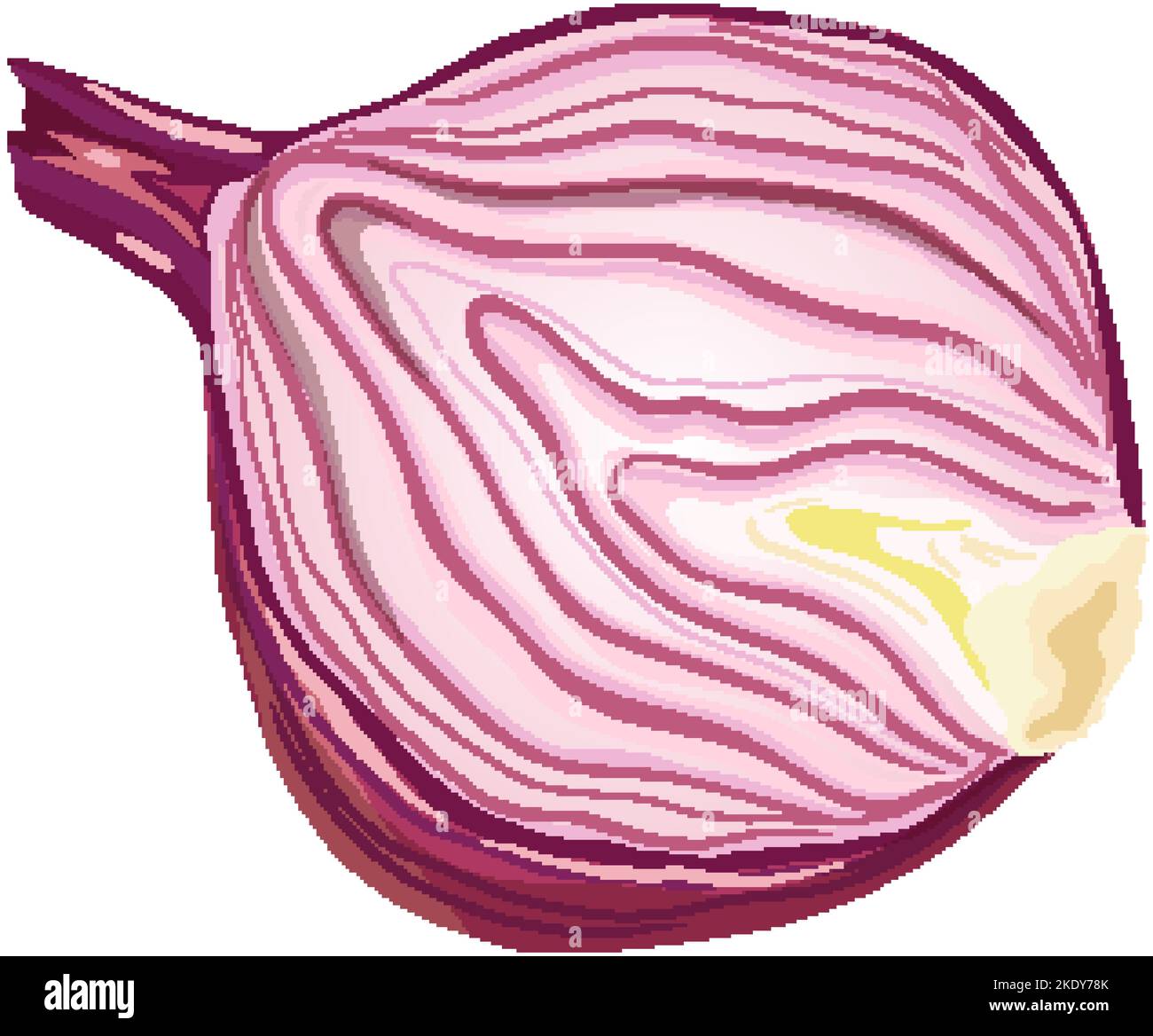 onion red cartoon vector illustration Stock Vector Image & Art - Alamy