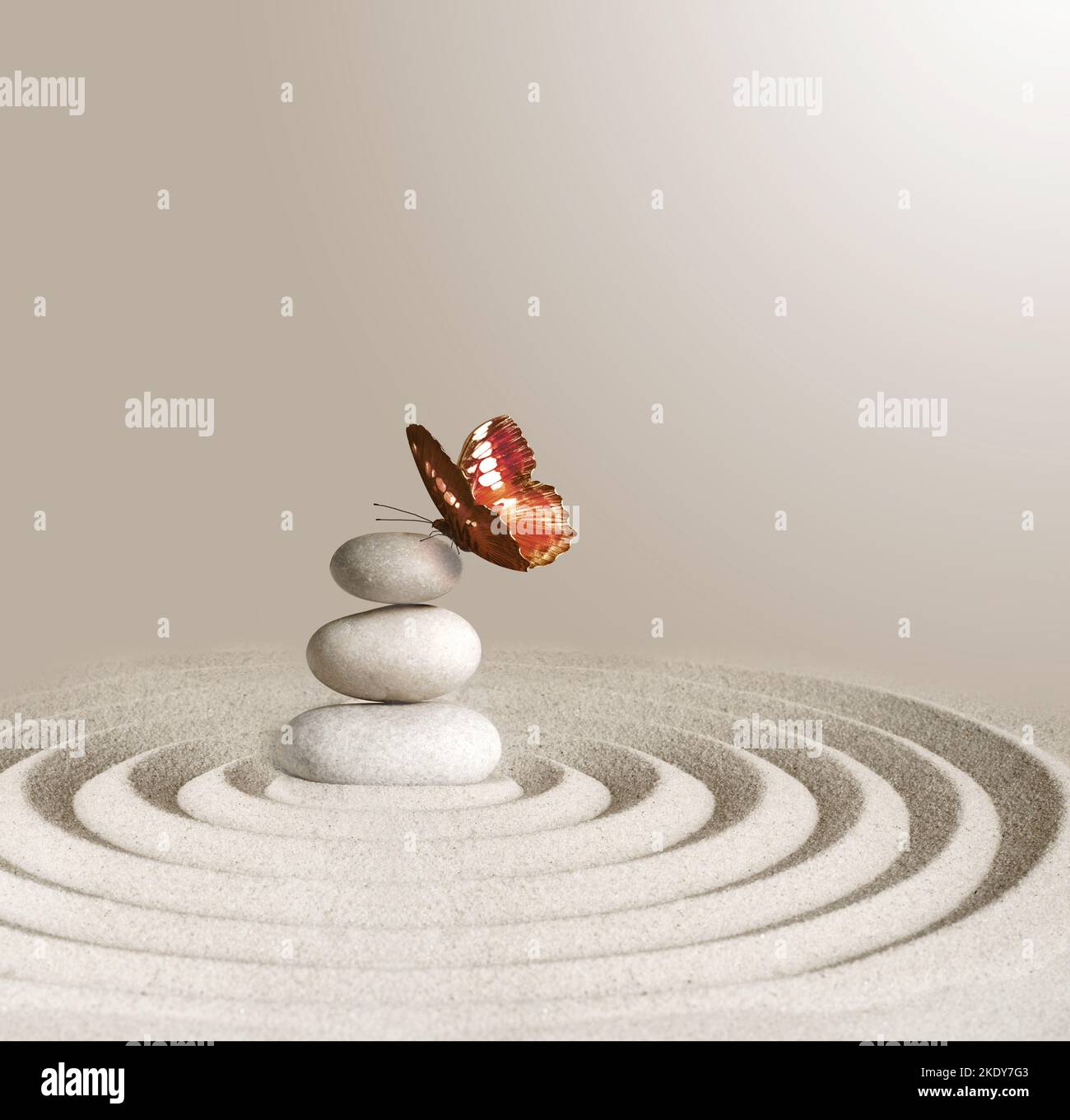 zen garden meditation stone background and butterfly with stones and ...