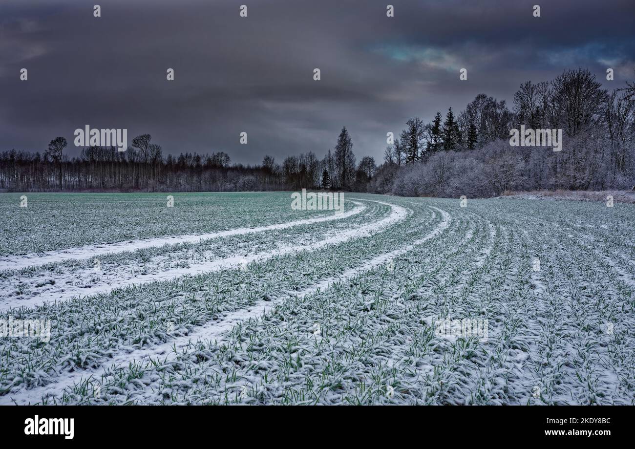 Little snow on land in cold december day, countryside of Latvia Stock Photo - Alamy