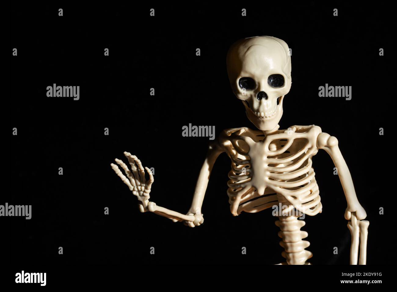 Human Skeleton waving greeting hand isolated on black background. Day ...