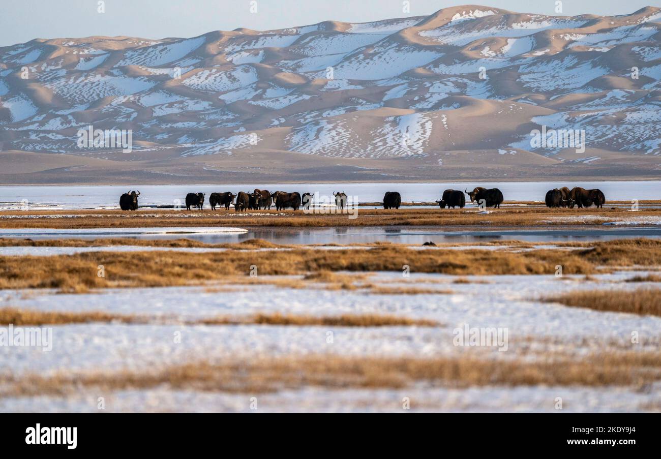 Changsha/Xining. 9th Nov, 2022. This photo taken on April 2, 2019 shows ...