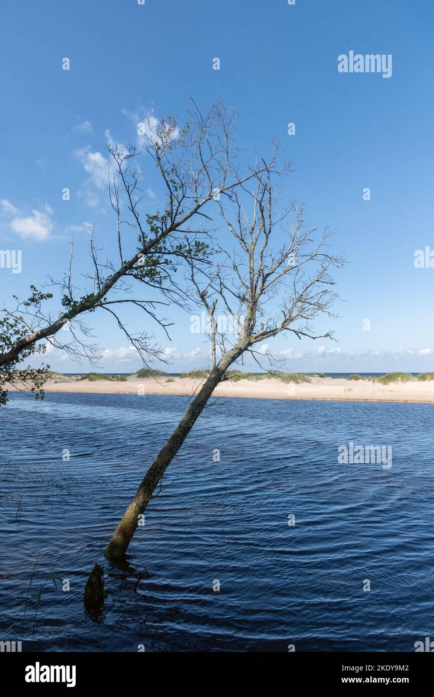 Irbe river hi-res stock photography and images - Alamy
