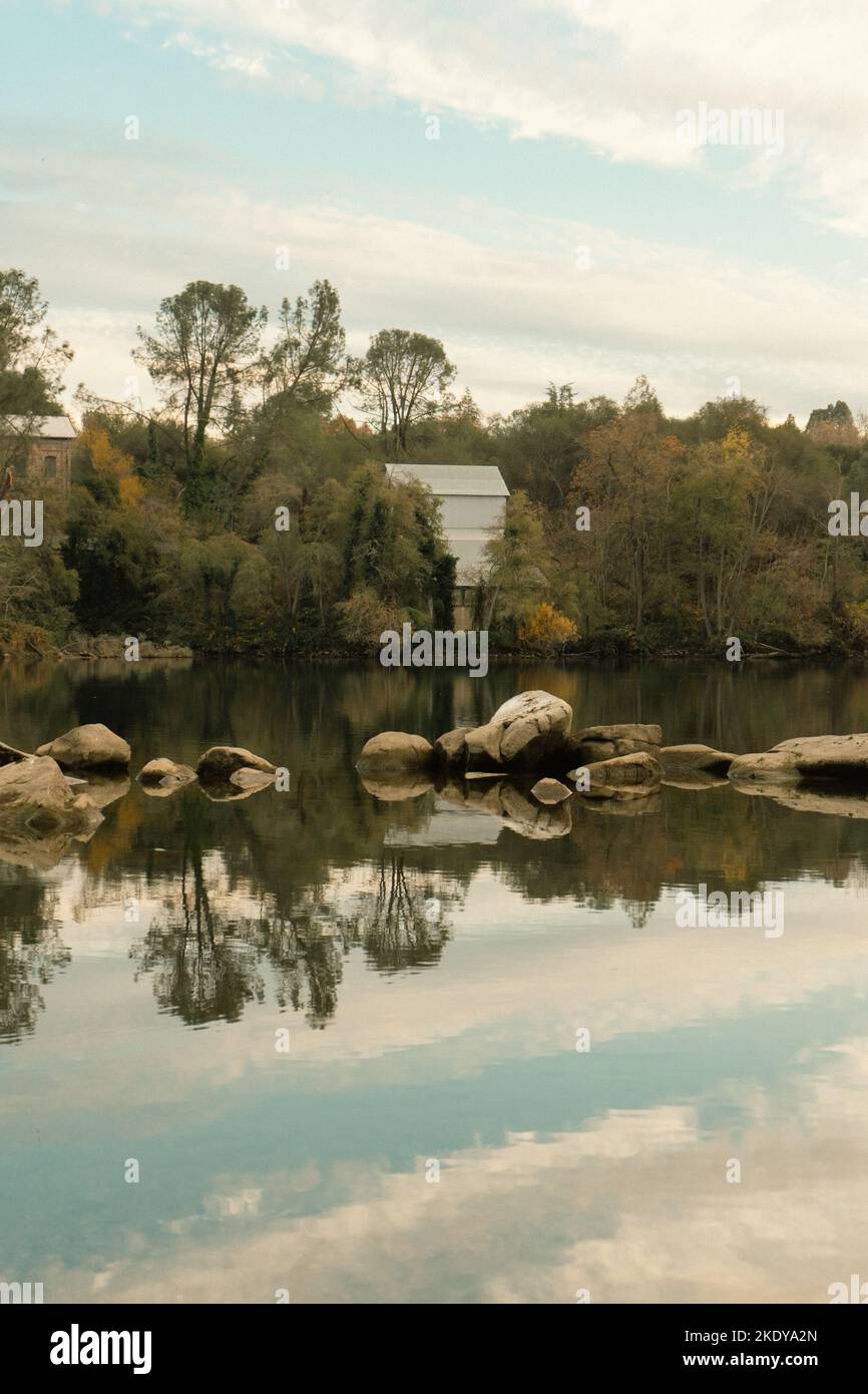 A vertical of the landscape reflected in lake Natoma in Folsom ...
