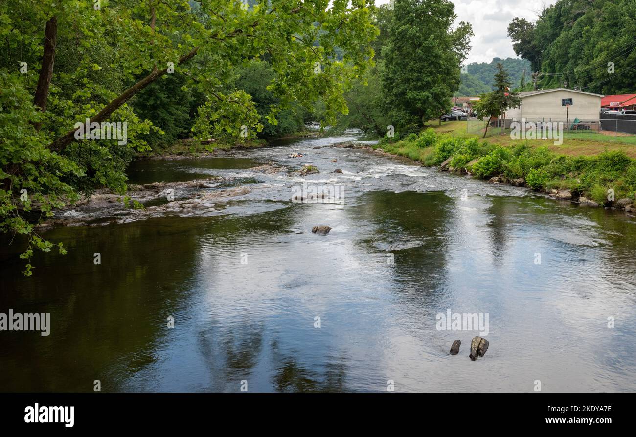 A scenic display of a shallow river flowing surrounded by green ...