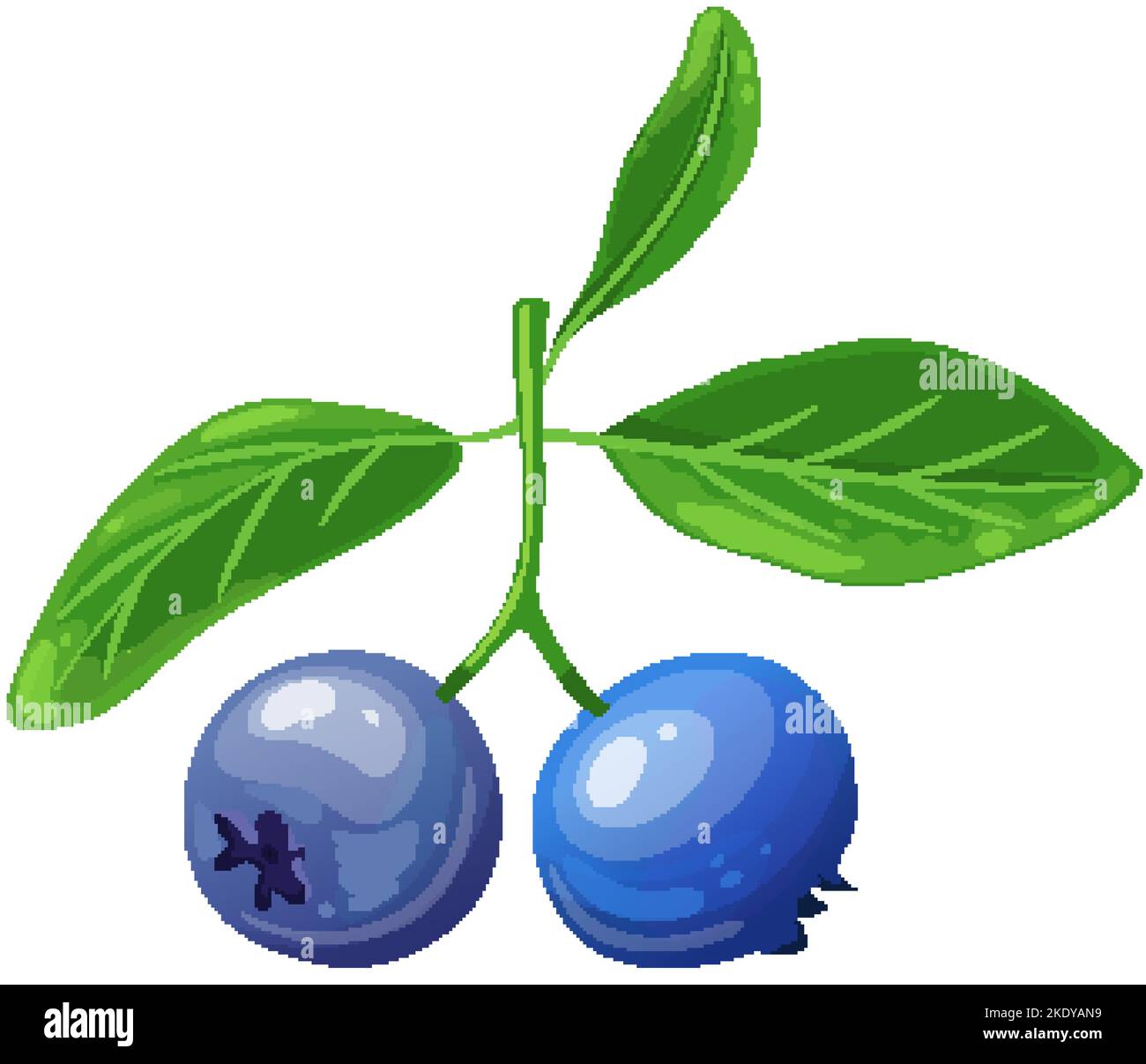 blueberry berry cartoon vector illustration Stock Vector Image & Art ...