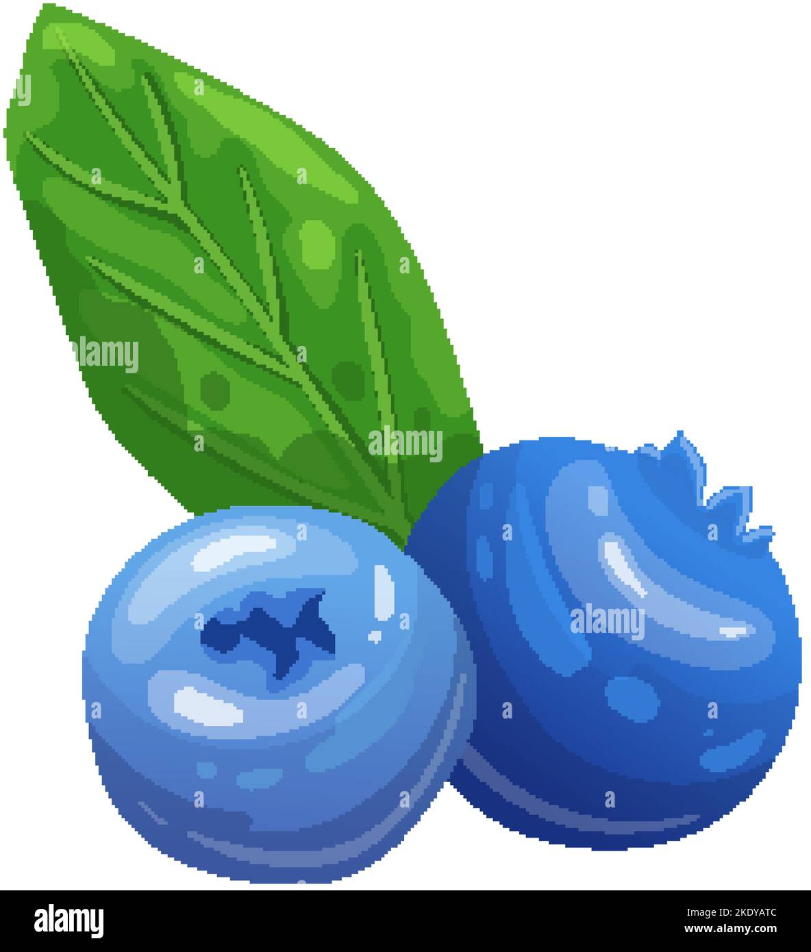 blueberry blue cartoon vector illustration Stock Vector Image & Art - Alamy