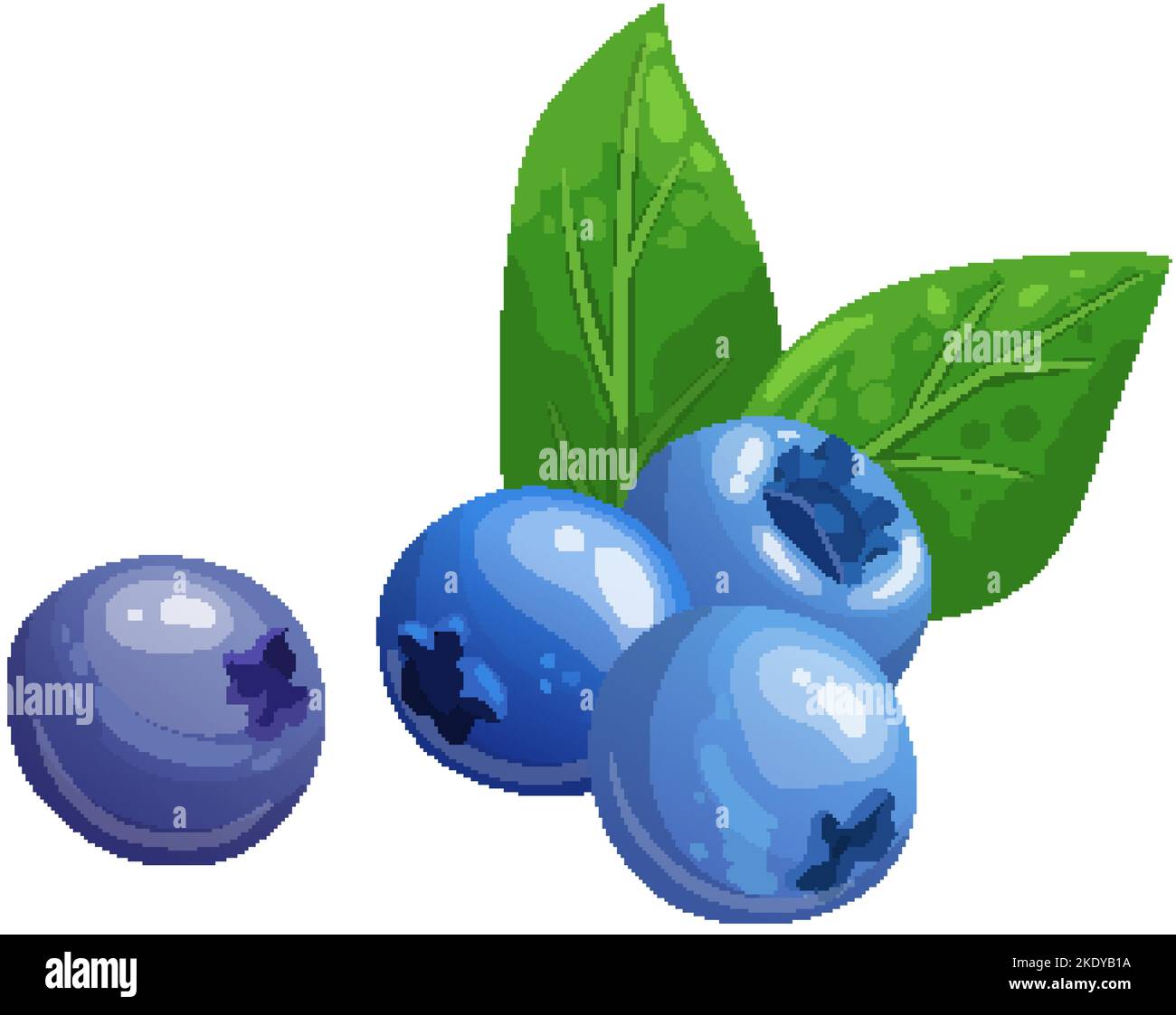 blueberry fruit cartoon vector illustration Stock Vector Image & Art ...
