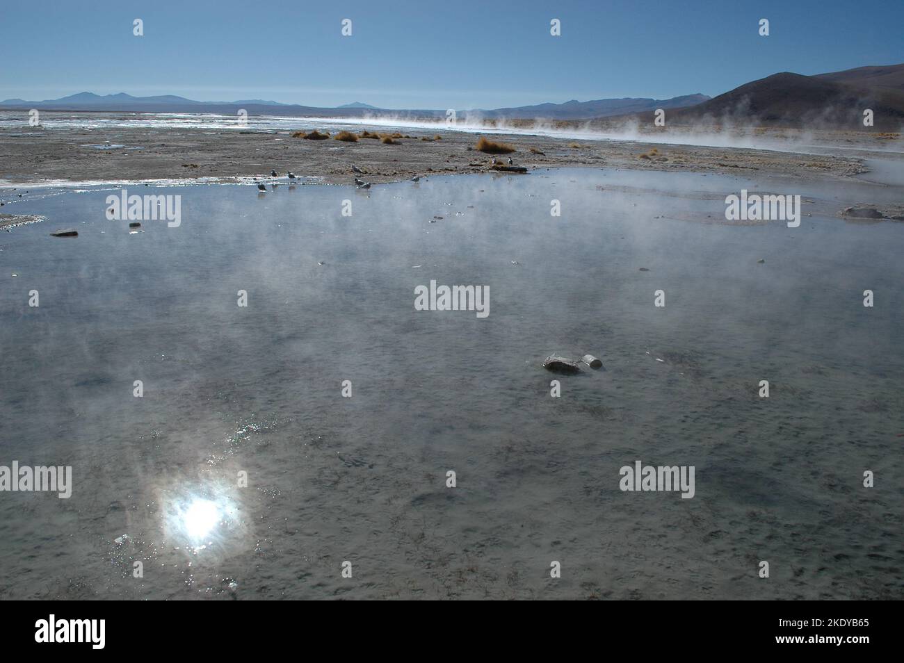 Geothermal Geyser atacama volcano hot steam water Stock Photo - Alamy