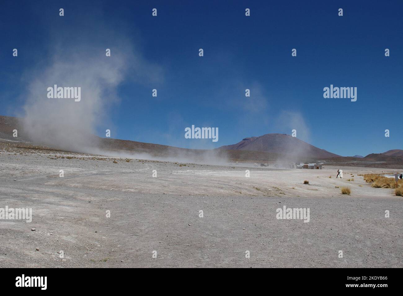 Geothermal Geyser atacama volcano hot steam water Stock Photo - Alamy
