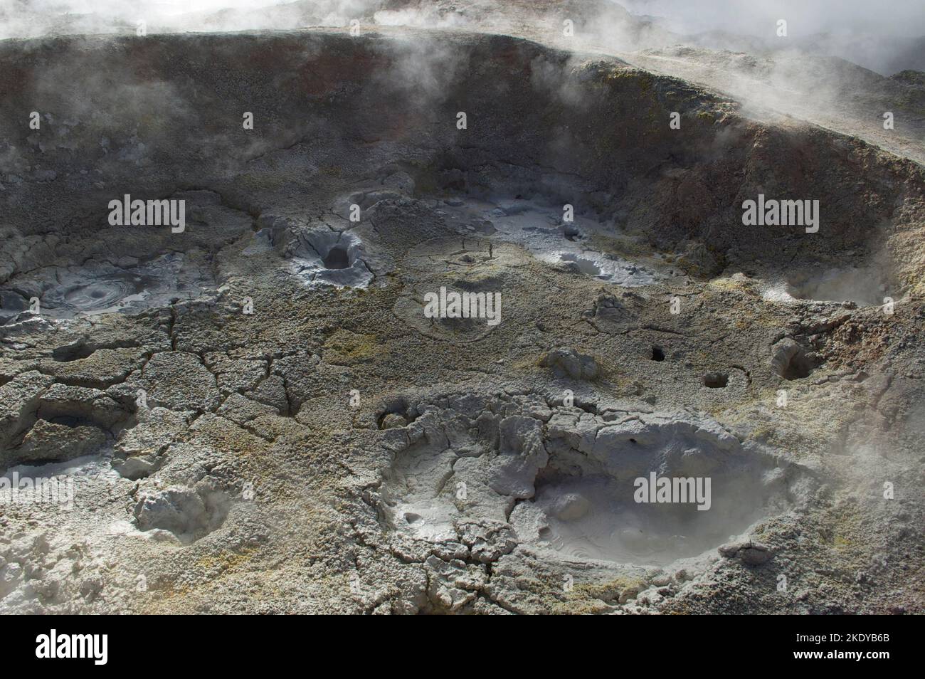 Geothermal Geyser atacama volcano hot steam water Stock Photo - Alamy