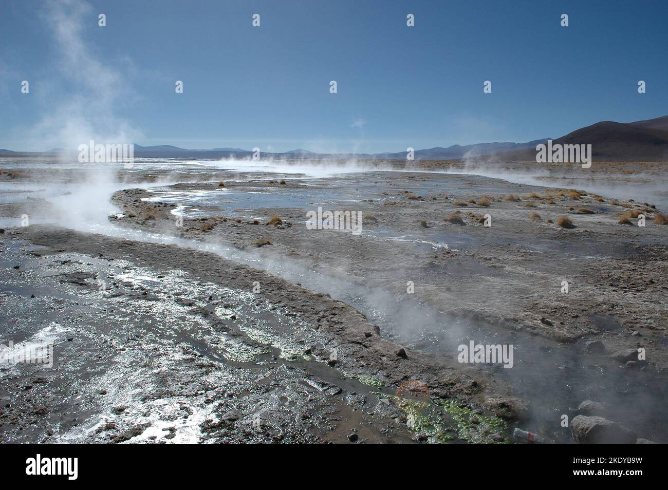 Geothermal Geyser atacama volcano hot steam water Stock Photo - Alamy