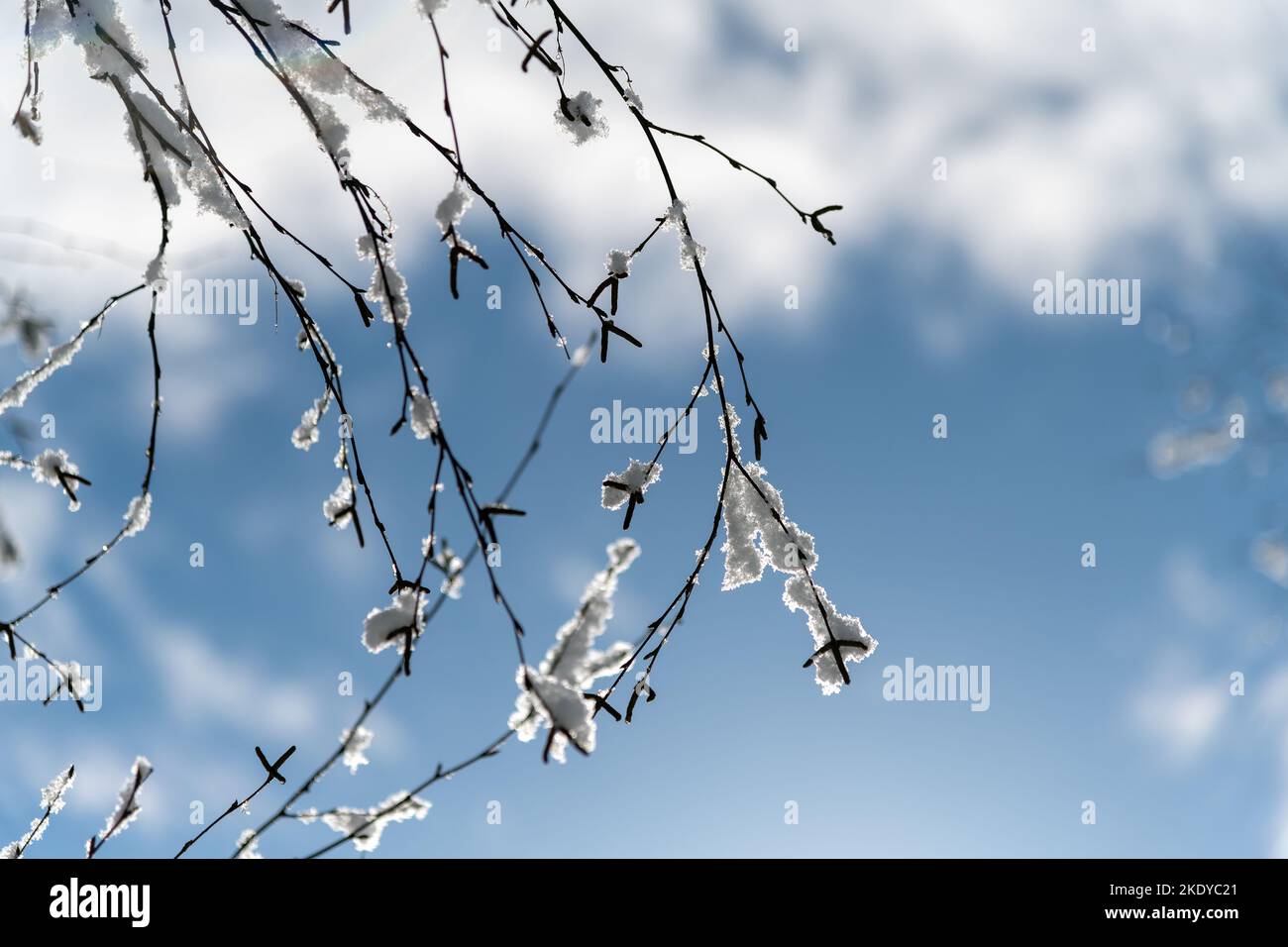 Cold spring morning hi-res stock photography and images - Alamy