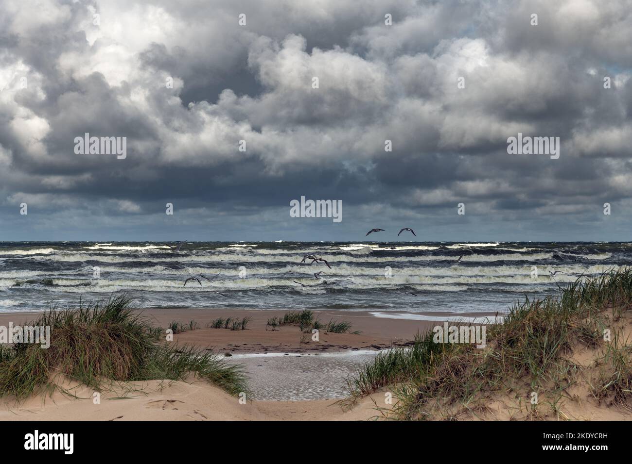 Stormy day by Baltic sea next to Liepaja, Latvia Stock Photo - Alamy