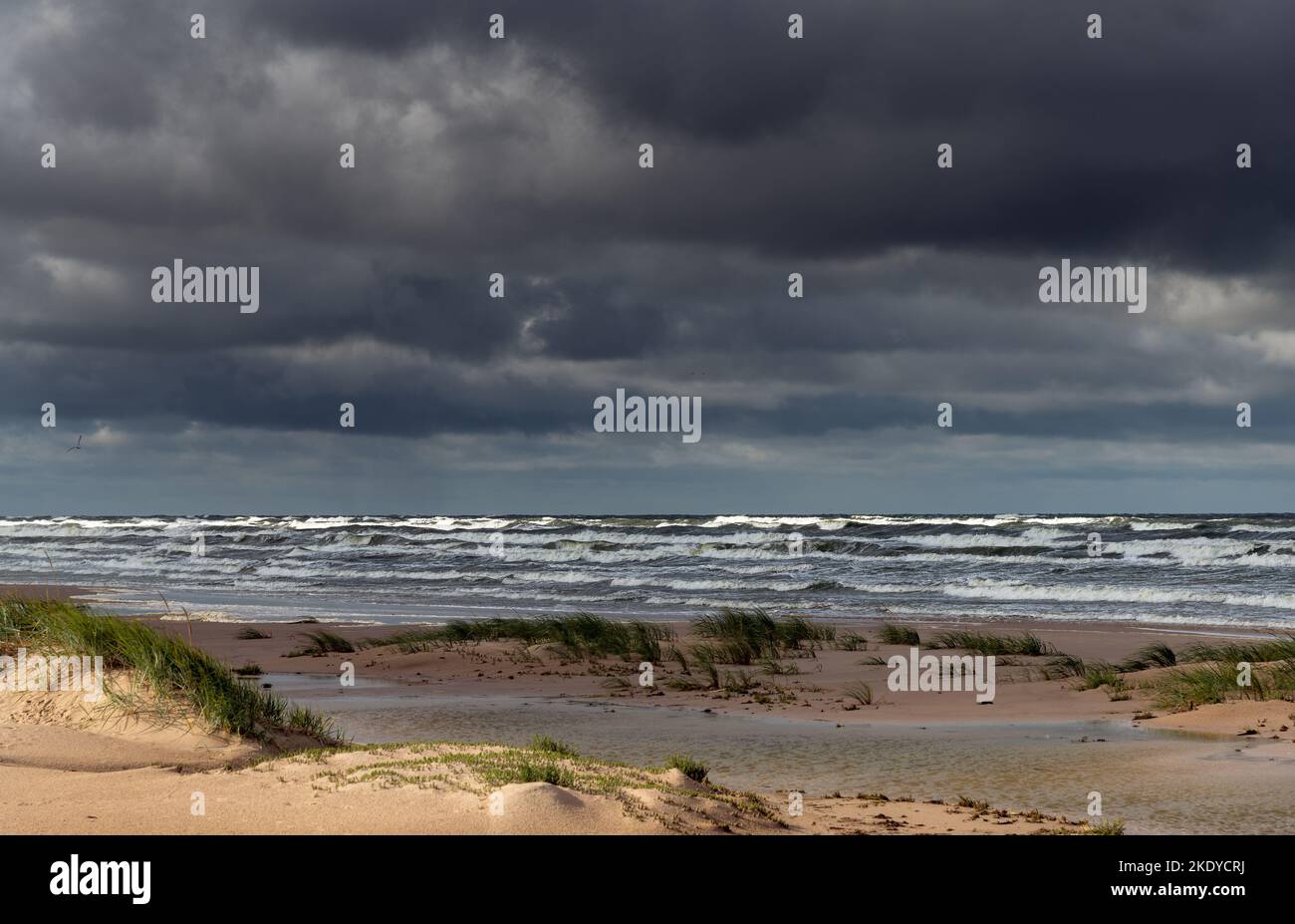Stormy day by Baltic sea next to Liepaja, Latvia Stock Photo - Alamy