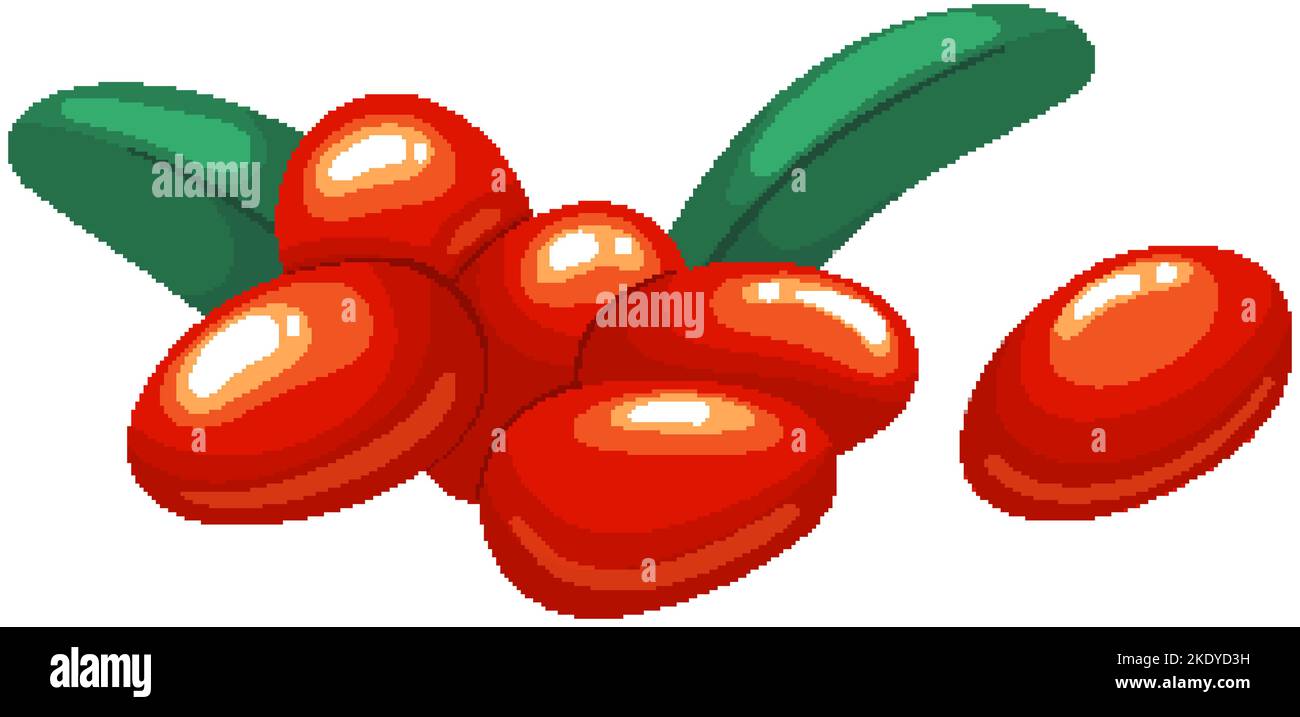 goji branch cartoon vector illustration Stock Vector Image & Art - Alamy