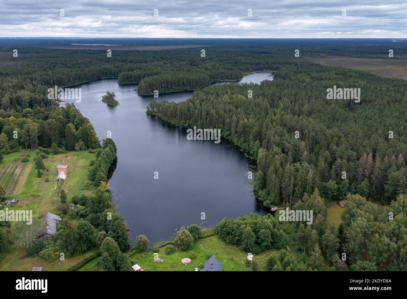 Lake in forest near Stikli village, Latvia Stock Photo - Alamy