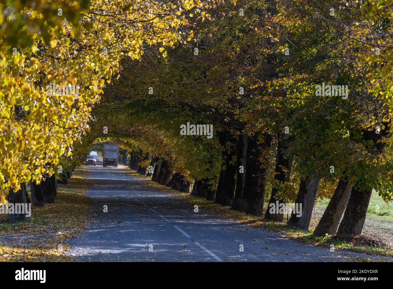Long alley hi-res stock photography and images - Alamy