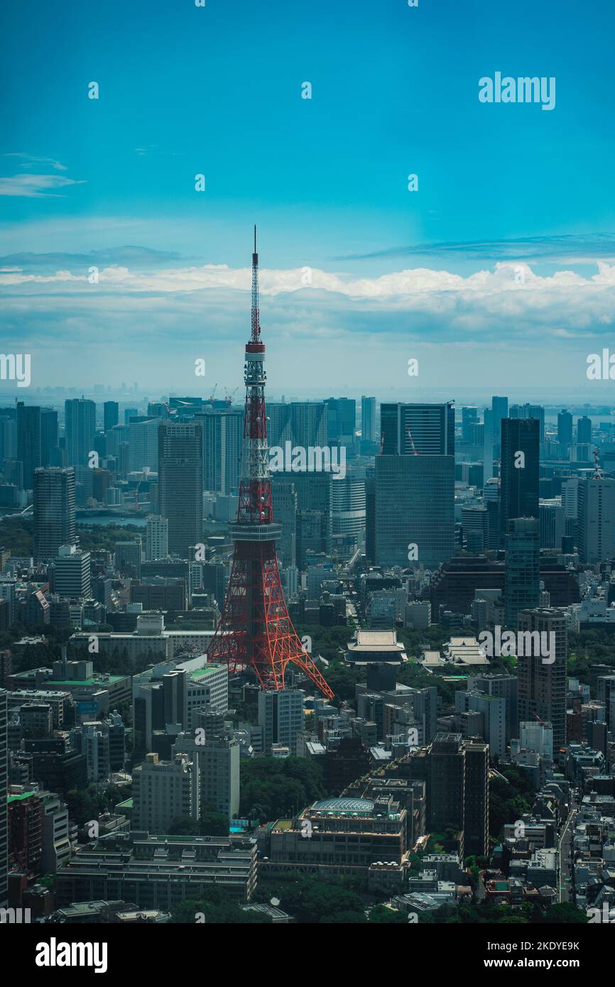 An aerial view of the historic Tokyo Tower and nearby buildings in ...