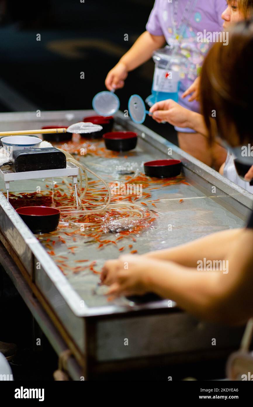 A vertical shot of children playing a traditional game of catching a ...