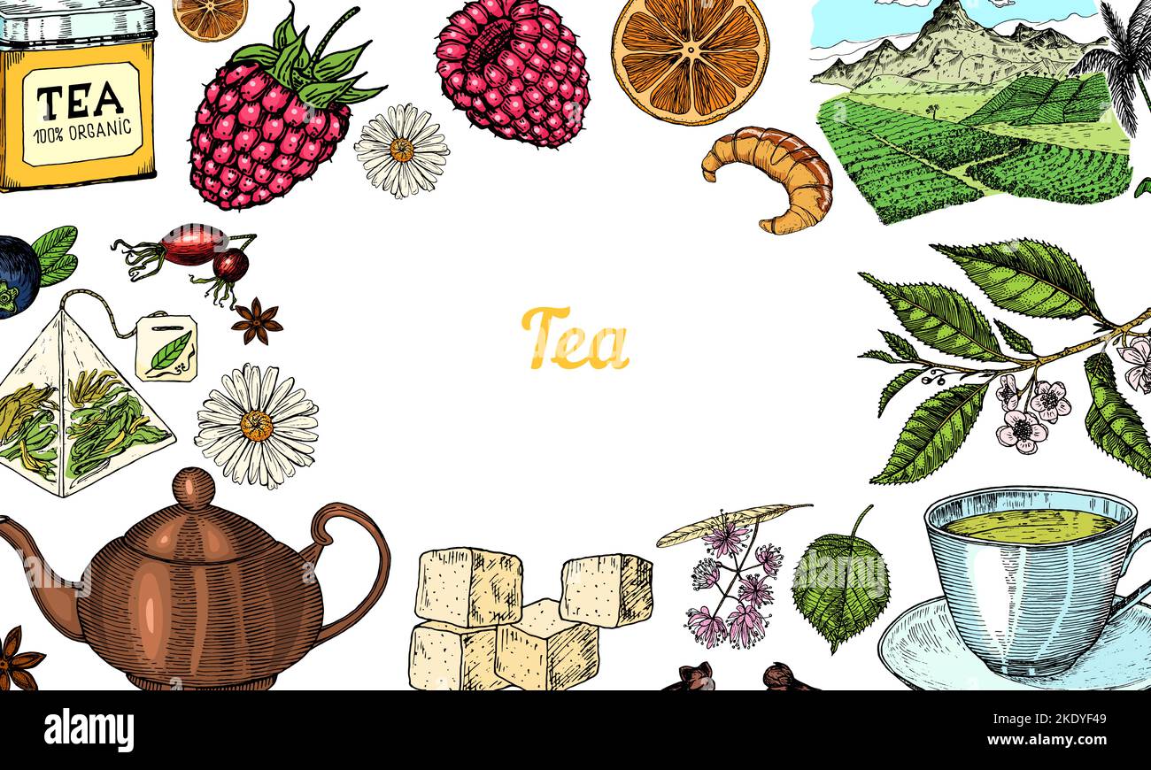 Herbal Tea Poster or banner. Bag brewing cooking directions. Teapot ...