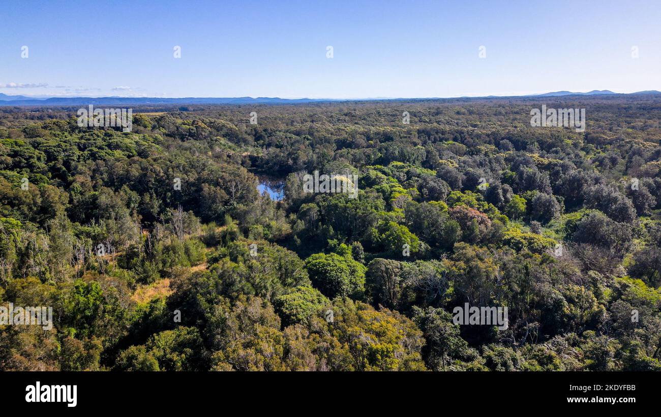 An aerial view of green countryside trees near Settlement Point, Port ...