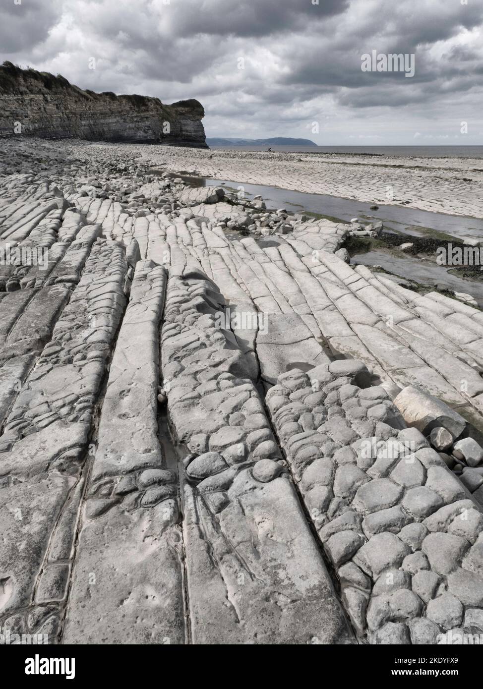 The headland of Blue Ben on the Jurassic Coast of Somerset UK Stock ...