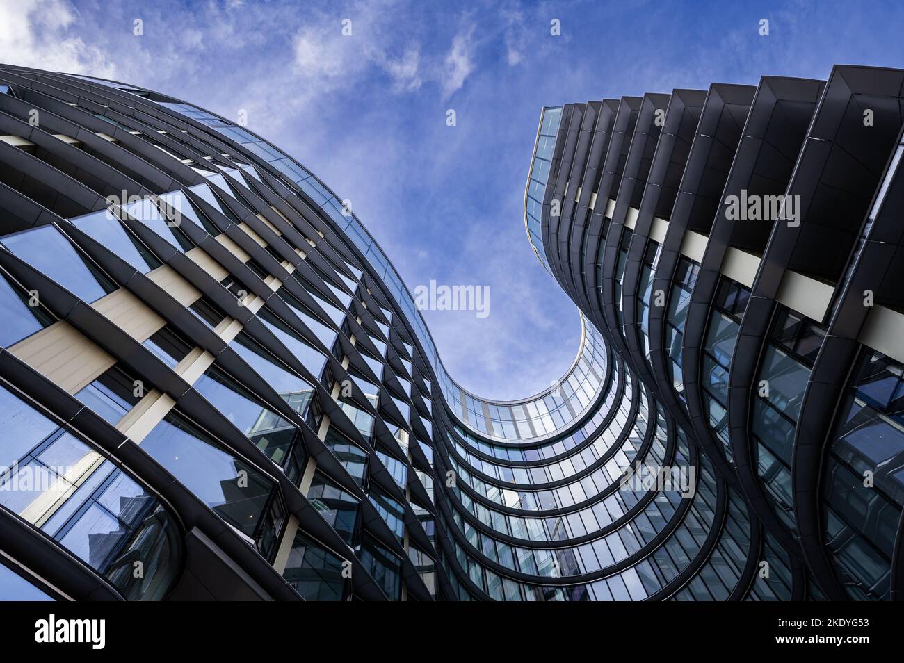 Koa at electric boulevard hi-res stock photography and images - Alamy