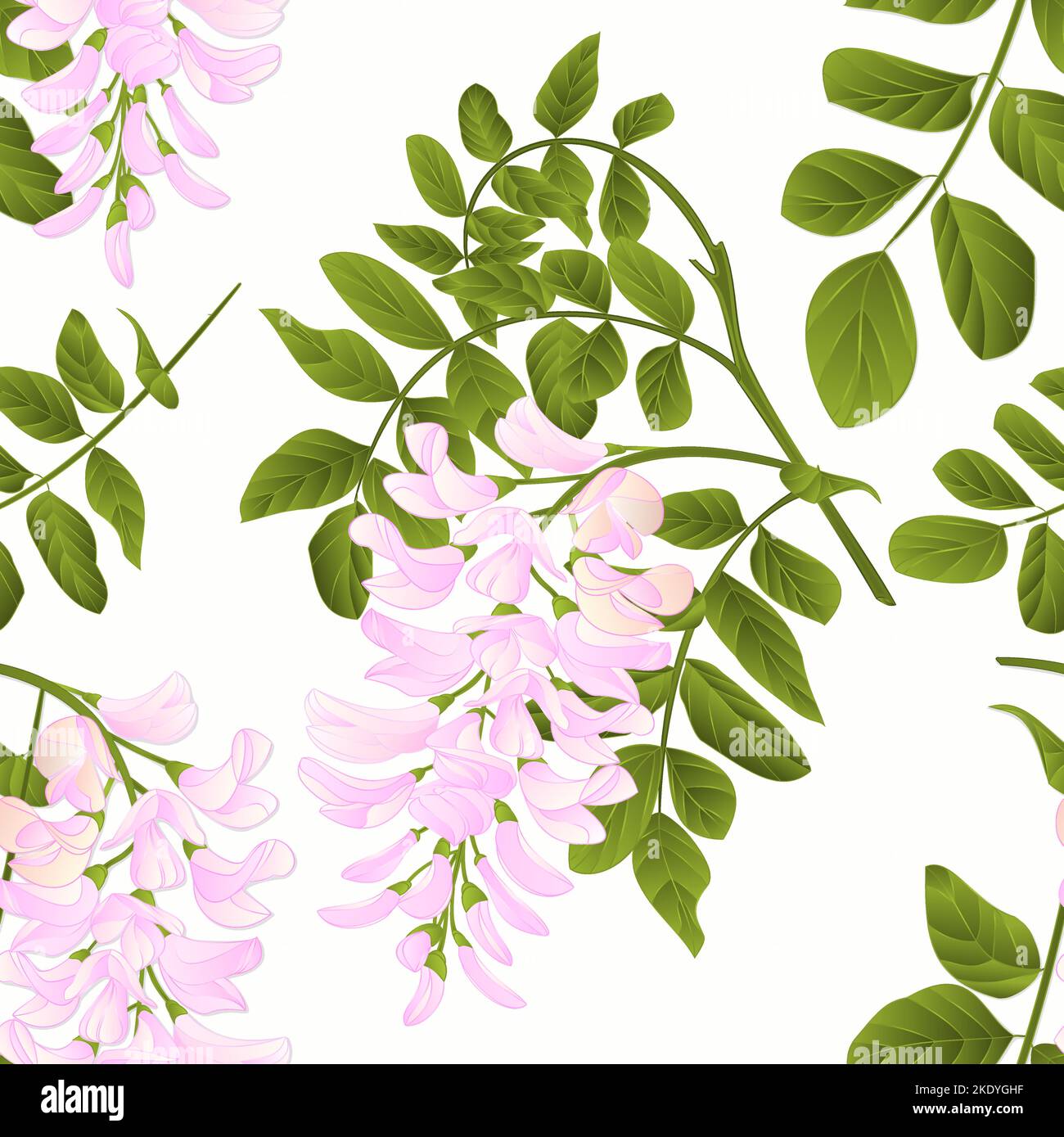 Seamless texture Locust tree twig with leaves and flowers vintage ...