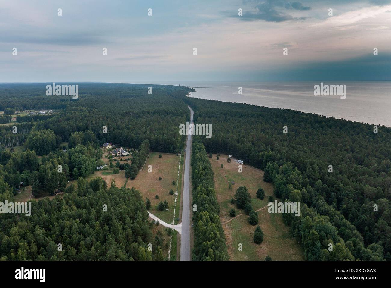 Riga pine hi-res stock photography and images - Alamy
