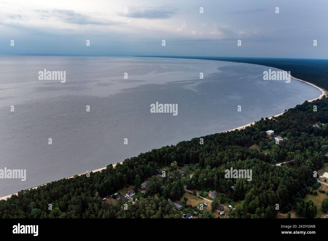 Riga pine hi-res stock photography and images - Alamy