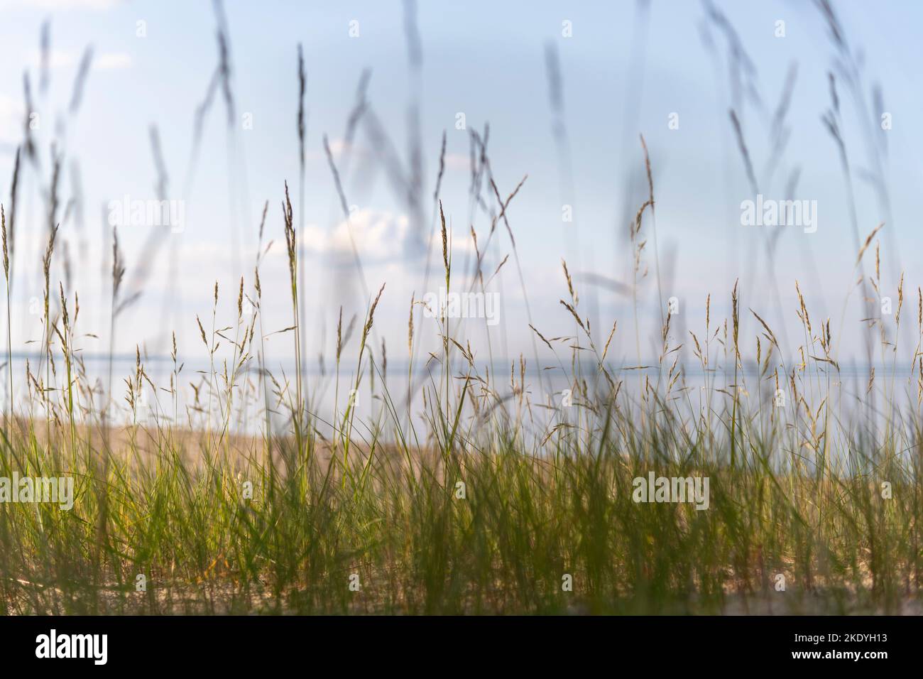 Blue and still Baltic sea Stock Photo - Alamy