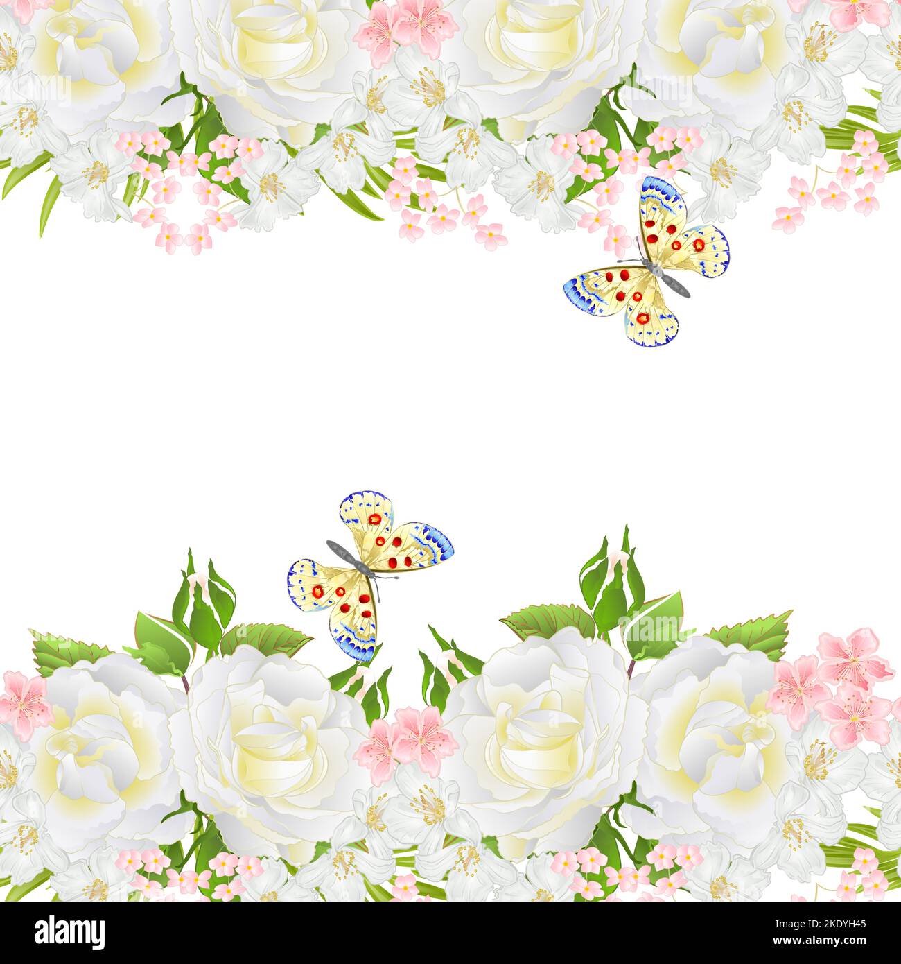 Floral horizontal border seamless background white roses and buds and butterfly vintage vector ...