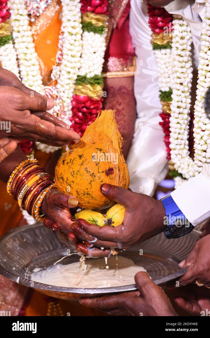 The hand of the bride held by the groom during a traditional ritual in ...