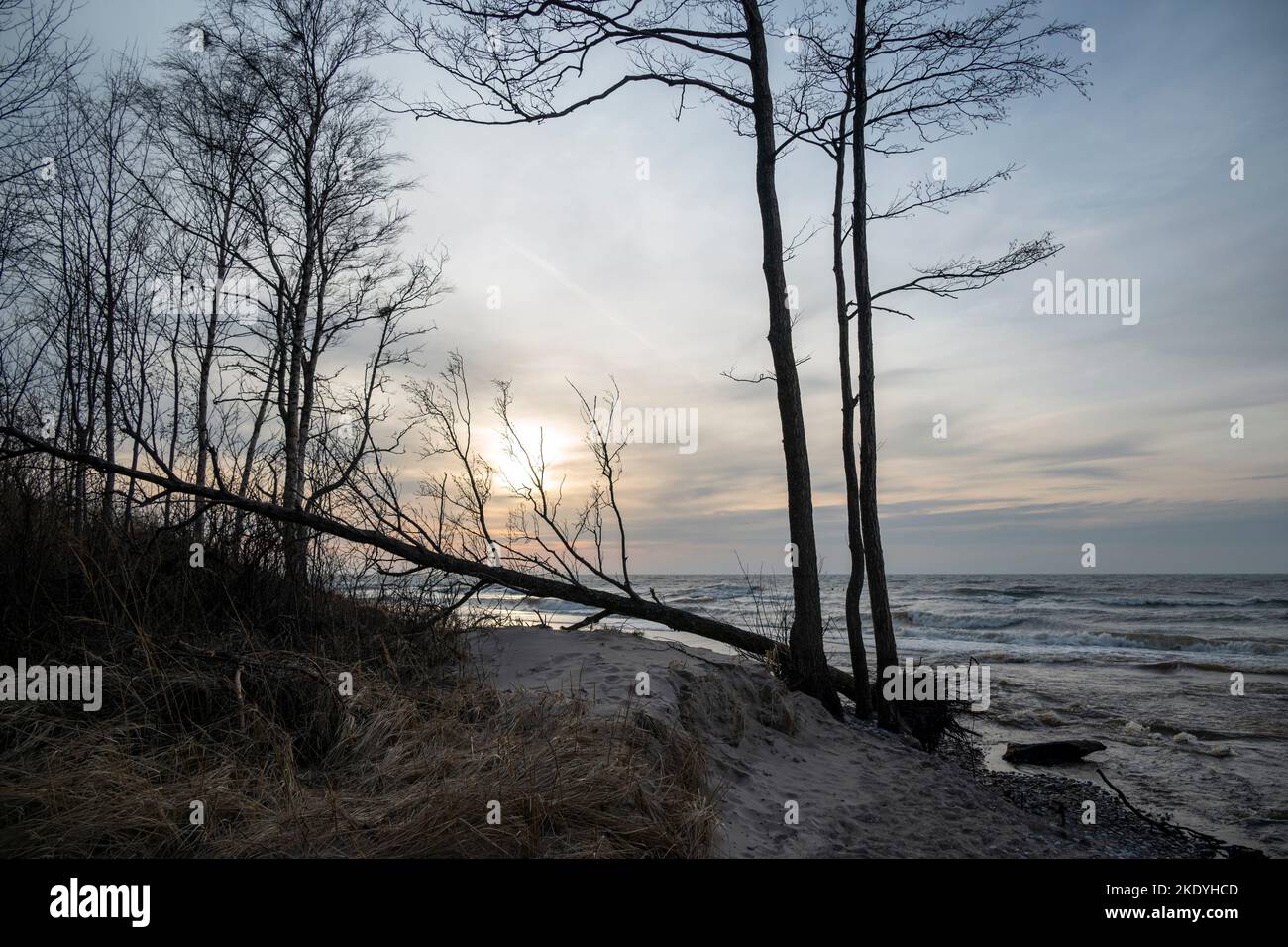 Baltic sea in cold stormy evening Stock Photo - Alamy
