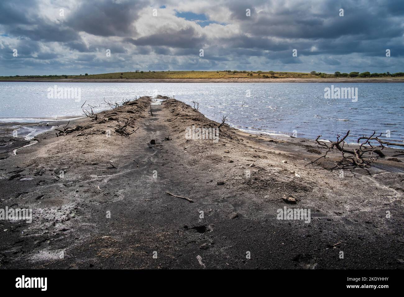 The remains of an old footpath farm track hedgerows exposed by falling ...