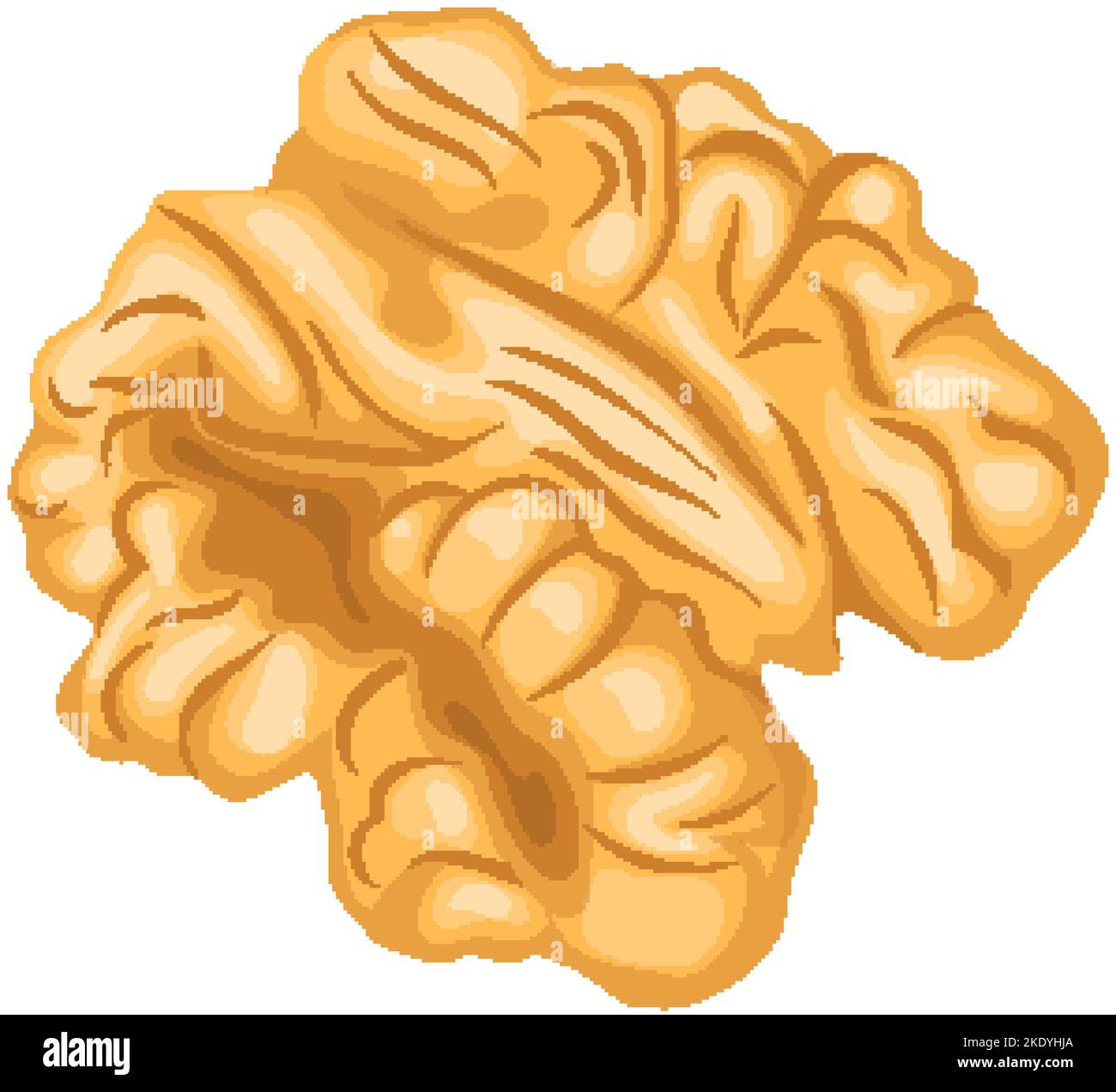 walnut kernel cartoon vector illustration Stock Vector Image & Art - Alamy