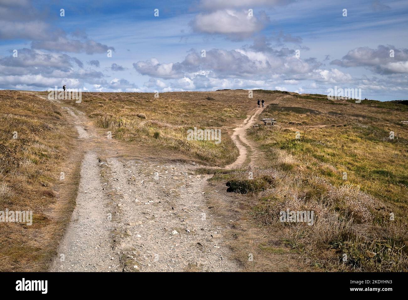 Desire lines and paths hi-res stock photography and images - Alamy