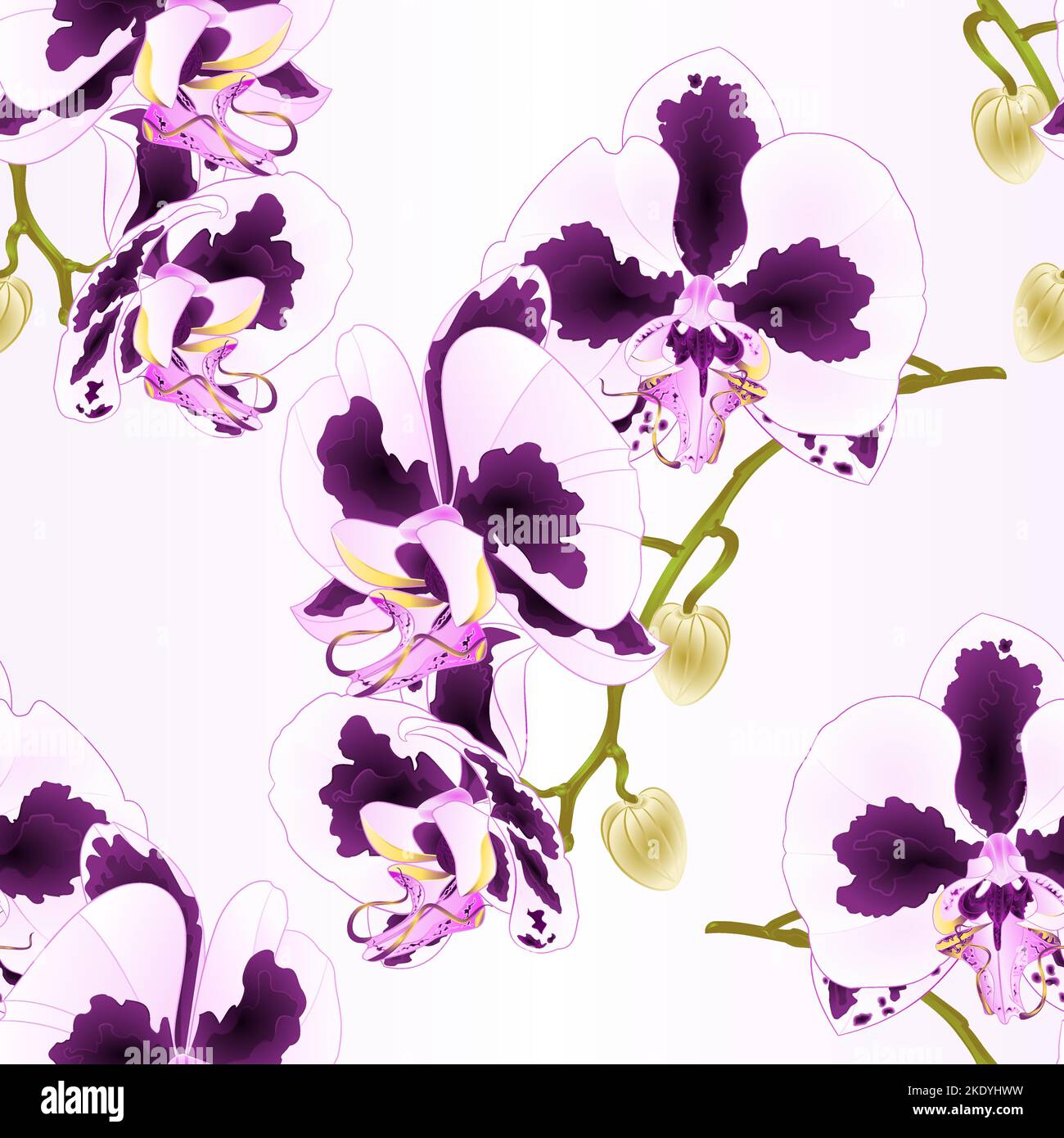 Seamless Texture Stem Orchid Phalaenopsis With Spots Purple And White