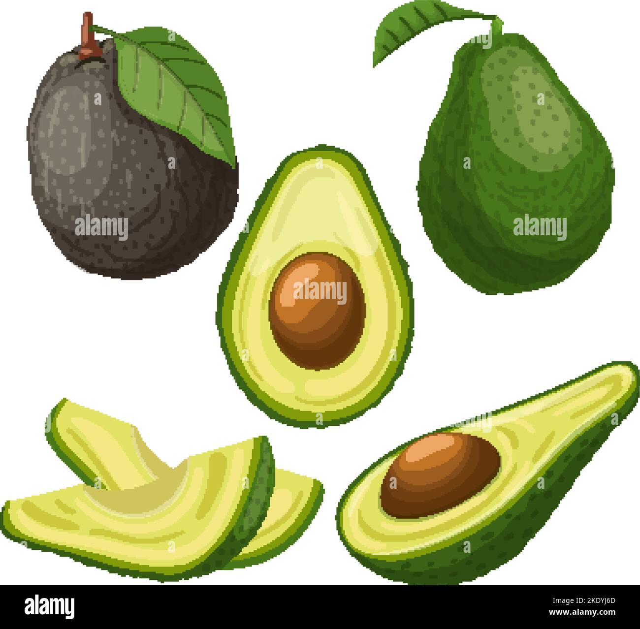 avocado food fresh set cartoon vector illustration Stock Vector Image ...