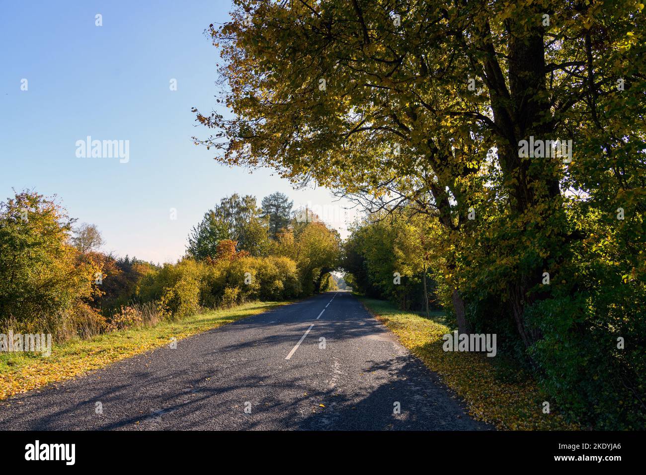 Asphalt road in autumn landscape Stock Photo - Alamy
