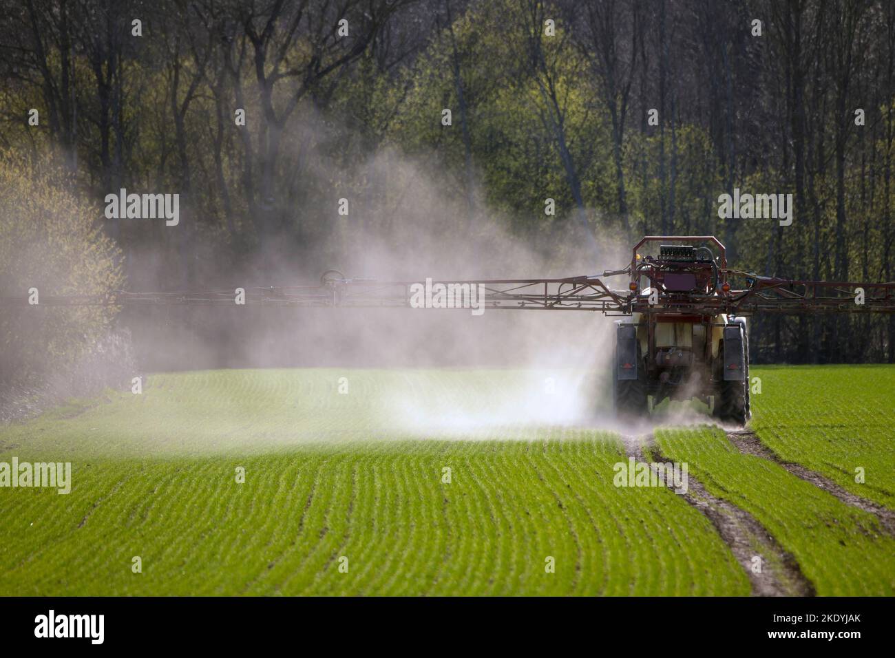 Sprayer on a green crop field in spring Stock Photo - Alamy