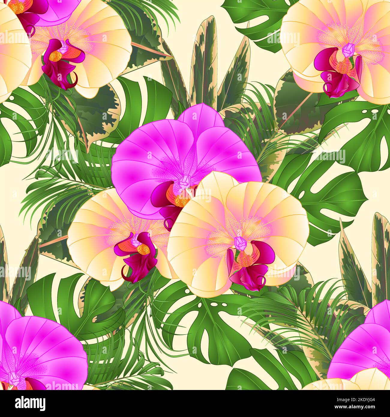 Seamless texture bouquet with tropical flowers floral arrangement, with ...